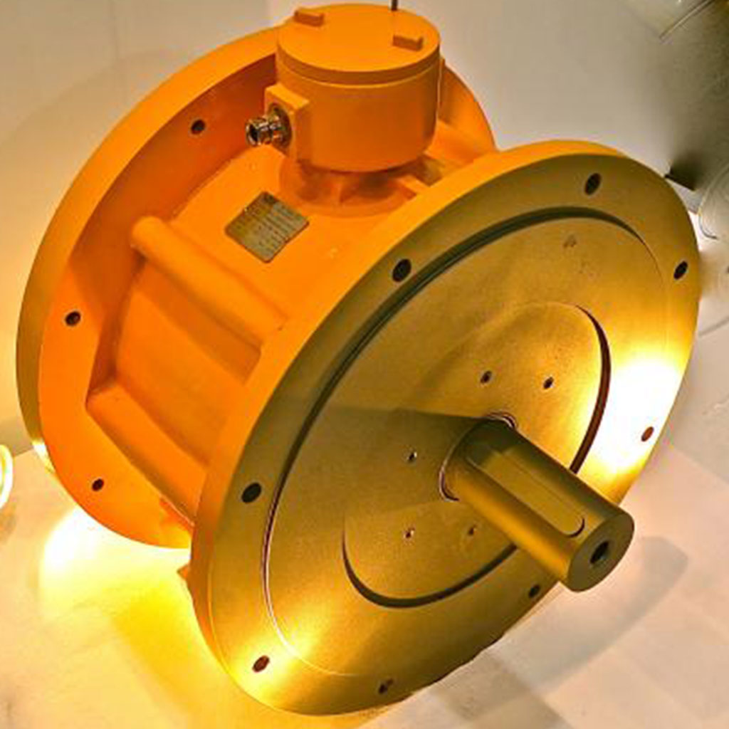 COEL VIS NEMA Flameproof Brakes - Frame size 56