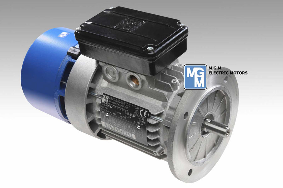 BA 100 LA4 MGM Electric Motor | P&P Distributors
